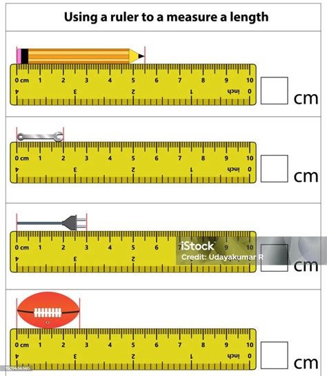 눈금자로 센티미터 단위로 길이를 측정합니다 교육 개발 워크시트 아이들을 위한 게임 아이들을 위한 퍼즐 벡터 그림입니다 만화 스타일 0명에 대한 스톡 벡터 아트 및 기타