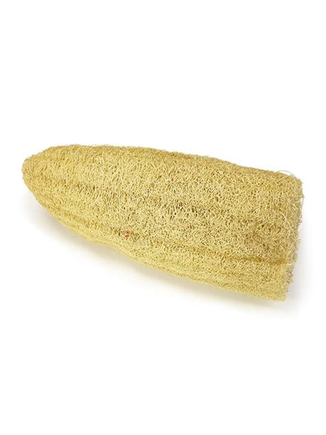Esponja Baño Vegetal Terranova Química