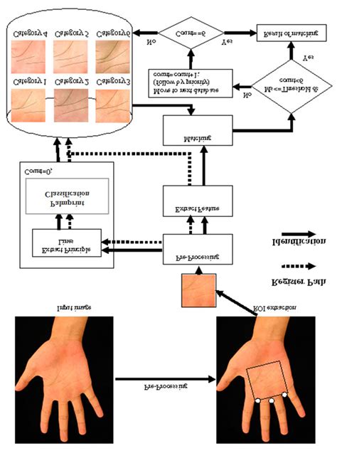 our proposed palmprint identification system overview download