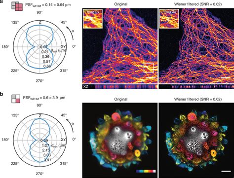 Blind Wiener Deconvolution In 3d With Psf Estimated From Sfsc Download Scientific Diagram