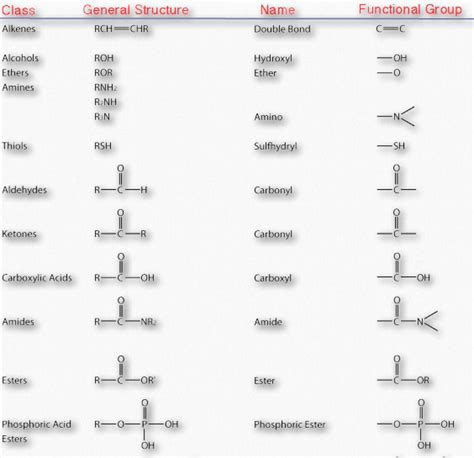 Base Functional Group Base Functional Group