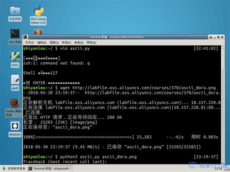 Python 图片转字符画 蓝桥云课