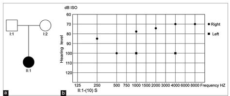 Identification Of A Novel Compound Heterozygous Mutation Ino