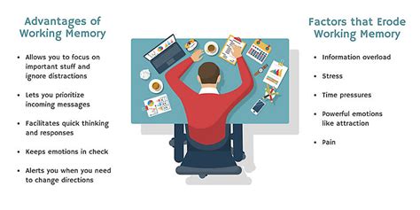 Working Memory The Key To Productivity