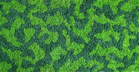 Antiko Bg Български Бижута и Подаръци От 2015 година е ученичка в