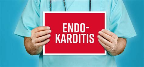 Endokarditis Symptome Diagnose Therapie Österreichischer