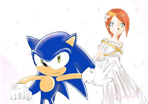 Sonic Protects Elise D By Missyuna Sonic Sonic Fan Characters