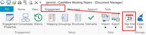 Caseware Rollforward
