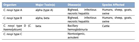 2a Clostridium Novyi Review Part 1 Hipra