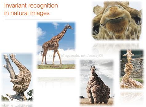 人脸识别之特征脸方法（eigenface）face Recognition Using Eigenfaces Csdn博客