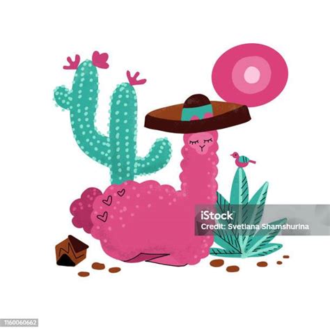 핑크 알파카 아이 손으로 그린 벡터 일러스트 레이션입니다 보육 디자인 포스터 생일 인사말 카드 라마 또는 알파카 인쇄 클립 아트 디자인 큰 선인장 식물 돌 태양과 솜브레로에