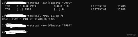 端口被占用，如何使用命令关闭它 关闭端口号命令 csdn博客