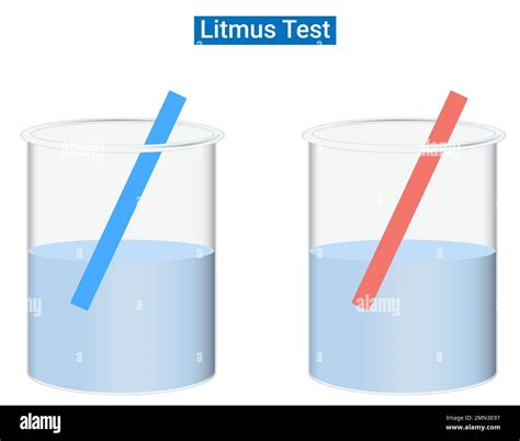 Litmus Test Meaning