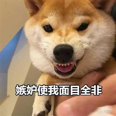 请教一下各位大佬，党员身份在考教师编和评教师职称的时候加分或有优势吗？ 知乎