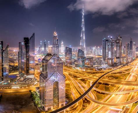 About Tim Tim Shields