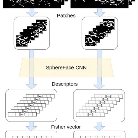 re identification pipeline schematic download scientific diagram