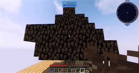 Anyone Know How I Fix I Installed Shaders Then The Tree Was Like I