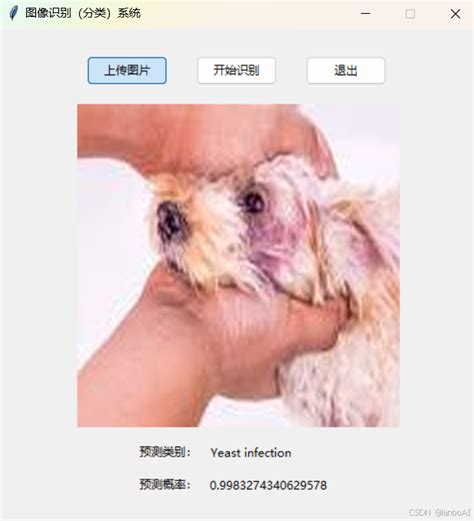 基于卷积神经网络的宠物皮肤病识别系统，resnet50，mobilenet模型【pytorch框架python】resnet50皮肤分类