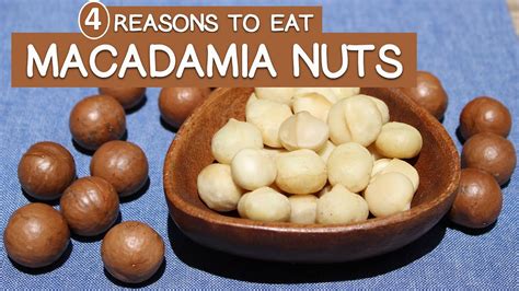 Top 4 Benefits Of Macadamia Nuts Plus 7 Fun Facts Youtube