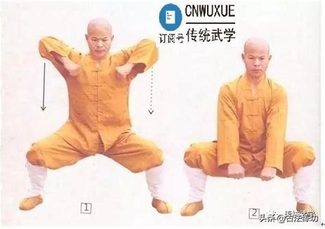 馬步站樁功法 每日頭條