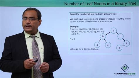 Artificial Intelligence Counting Number Of Leaf Nodes In Binary Tree
