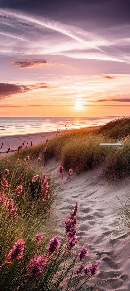 Deursticker Poster Zonsondergang Op Het Strand Kopen Stickers Va 0