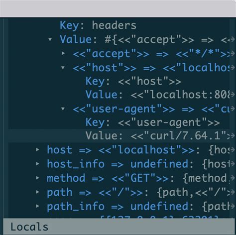 How To Use The Debugger Erlang Ls