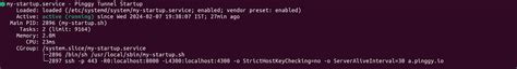 Run Tunnel On Startup For Linux