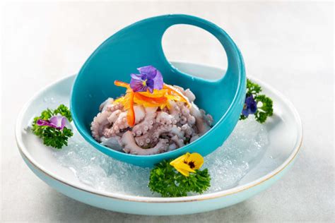 八爪鱼图片素材 八爪鱼设计素材 八爪鱼摄影作品 八爪鱼源文件下载 八爪鱼图片素材下载 八爪鱼背景素材 八爪鱼模板下载 搜索中心