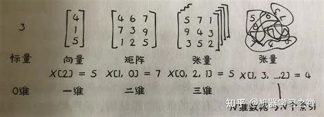 PyTorch张量操作基本操作索引命名 从 开始学PyTorch 知乎 PyTorch张量操作基本操作索引命名 从 开始学PyTorch 知乎