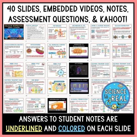 Cell Respiration Powerpoint Notes Questions And Kahoot Science Is Real Education