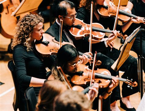 Toddcs The Pico Players