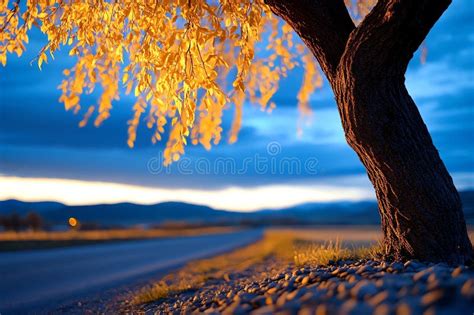A Sad Willow Tree In A Twilight Landscape With The Last Rays Of The Sun Filtering Through Its