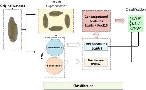 Proposed Model Structure And Relations Diagram Download Scientific