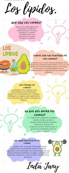 Anabolismo Y Catabolismo Dibujos