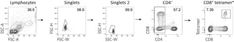 Figure Supplement 1 Flow Activated Cell Sorting Gating Example 1097