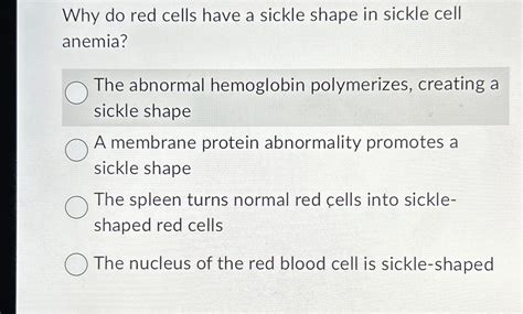 Solved Why Do Red Cells Have A Sickle Shape In Sickle Cell