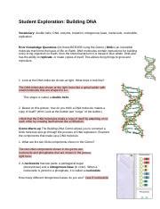 Building DNA Gizmo Lab Report Docx Babe Exploration Building DNA Vocabulary Double Helix