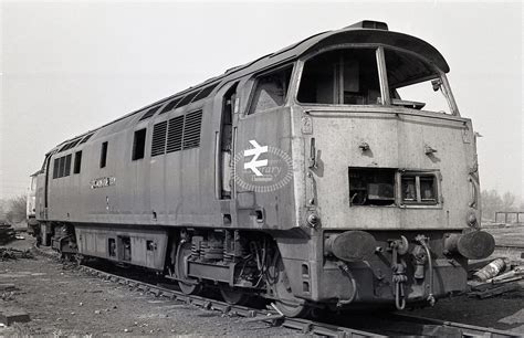 The Transport Library British Rail Diesel Loco Class 52 Western 1024 At Swindon Works In 1974