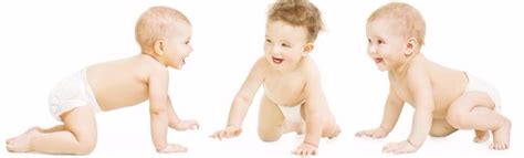 To Print The Story Please Do So Via The Link In The Story Toolbar