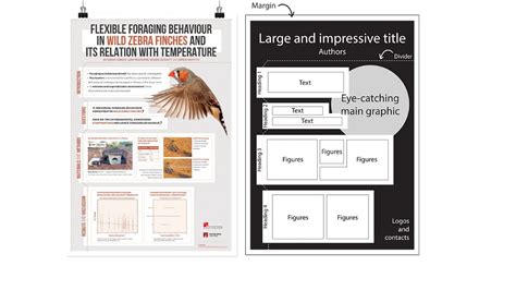 Chapter 9 Audience From Igcse 0417 In Cie Pptx