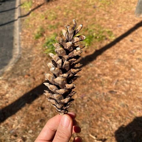 Premium Photo Personal Perspective