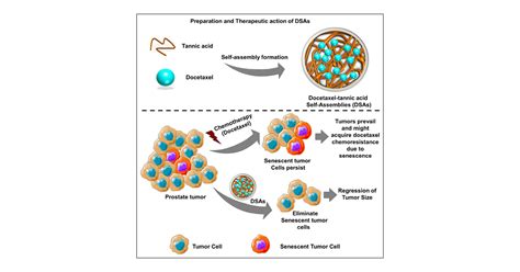 Cross Linked Polyphenol Based Drug Nano Self Assemblies Engineered To