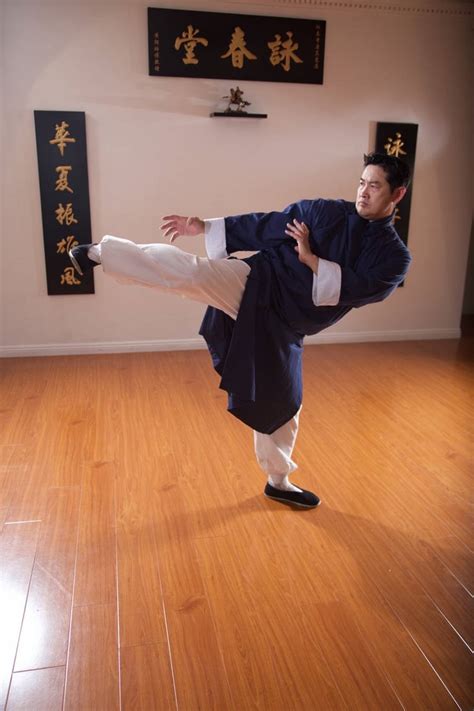 Download Mastering The Art Of Wing Chun Fighting A Display Of Hand