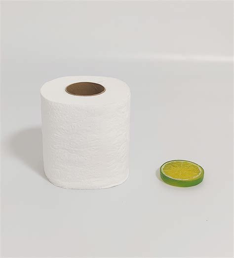 Заказать полированный рулон туалетной бумаги несколько рисунков на выбор