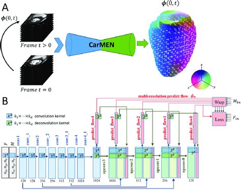 Image Shows Cardiac Motion Estimation Network Carmen Architecture A Download Scientific