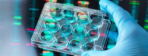 Genetic Testing Labs Billing Clinic Billing And Credentialing Cranberry