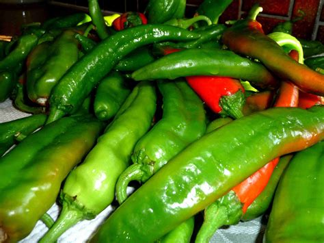 Frozen Chile The Chili Guys Lulus Farm