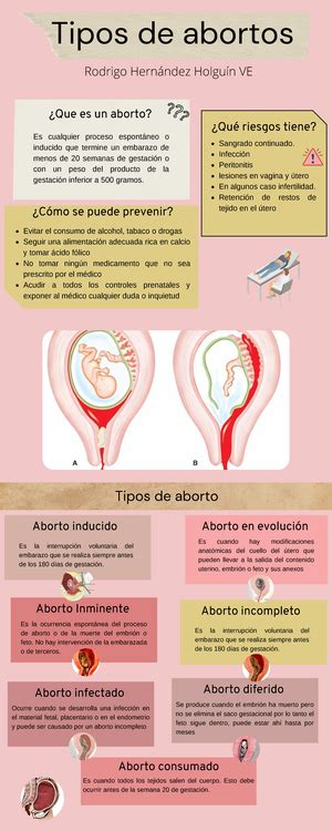 Capas Germinales Ectodermo Mesodermo Y Endodermo En Desarrollo