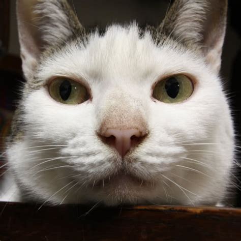 Osamu Nishimura Osamu3339momo • Threads Say More